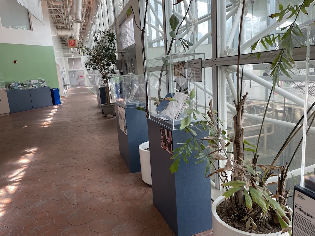 Visiting Biosphere 2: Our Guide to the World Under Glass